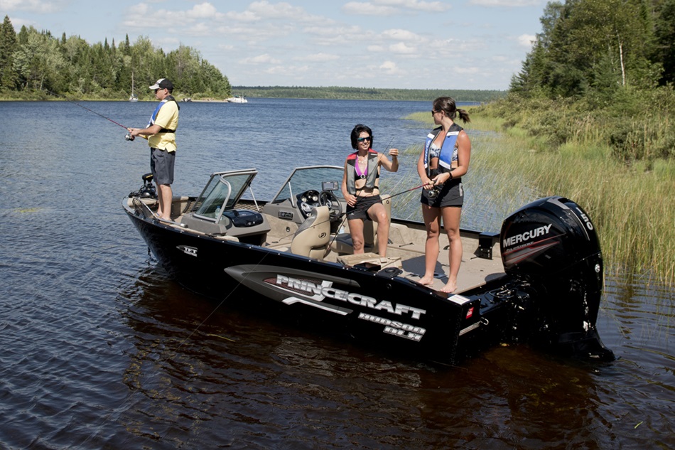 Hudson DLX WS (2016) - Fishing Boats - Princecraft